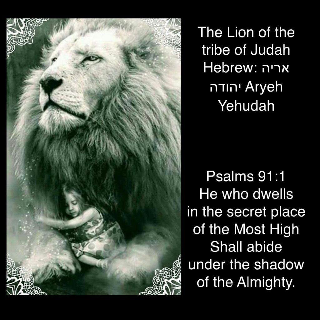 THE REDEEMER OUR “GOEL” IS JESUS CHRIST THE LORD GOD AND KING. – EAGLE ...