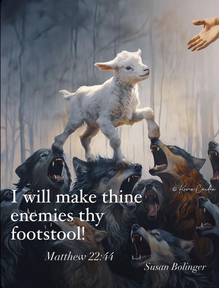 Visions for Repositioning to Be Released for Your Harvest – EAGLE'S ...