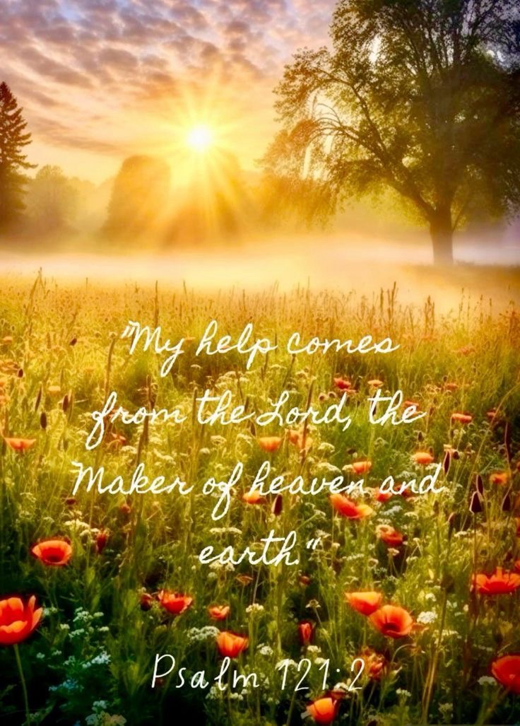 Receive Oil of Ease of Increase and To Be A Favour Magnet of ...