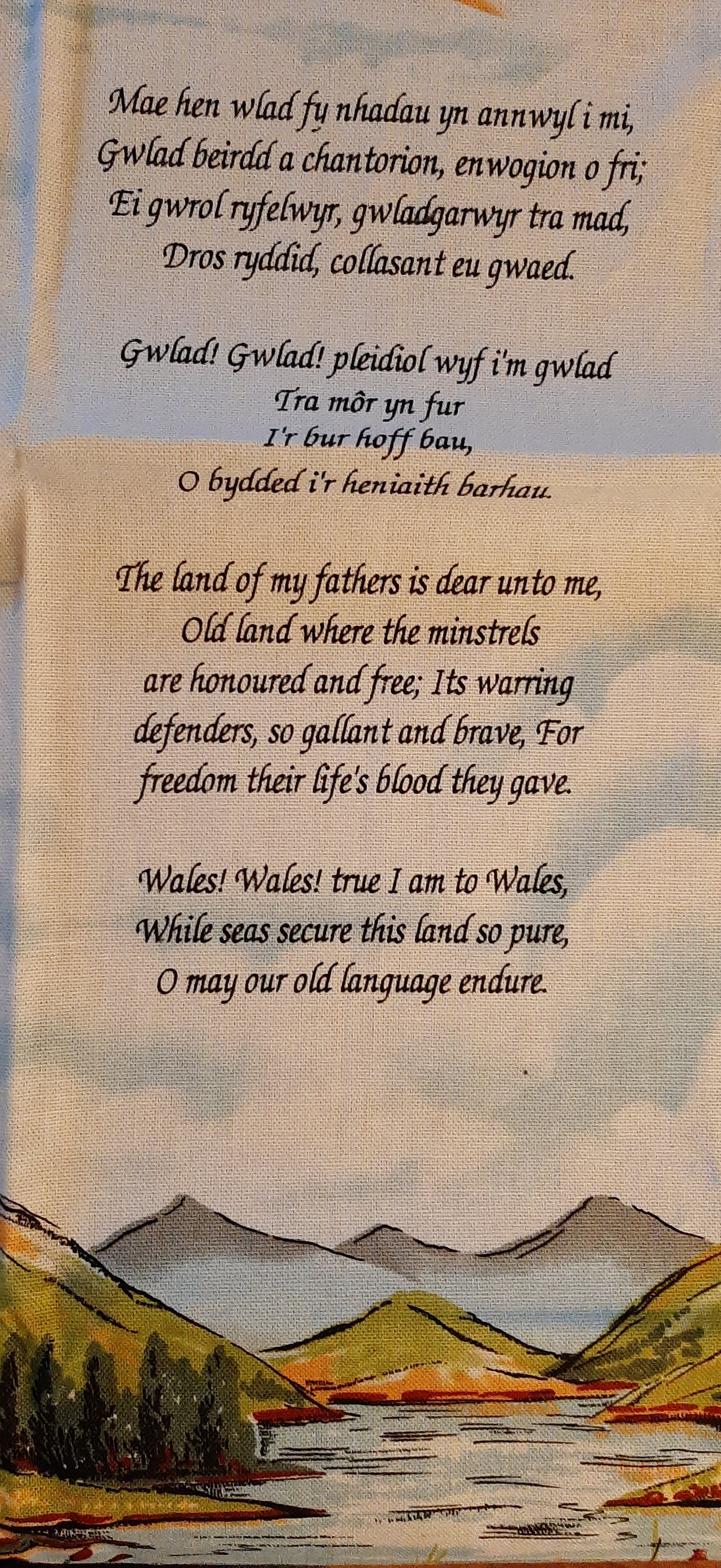 A PROMISE OF THE LORD’S HELP – EAGLE'S NEST PROPHETIC ART FOR THE KING